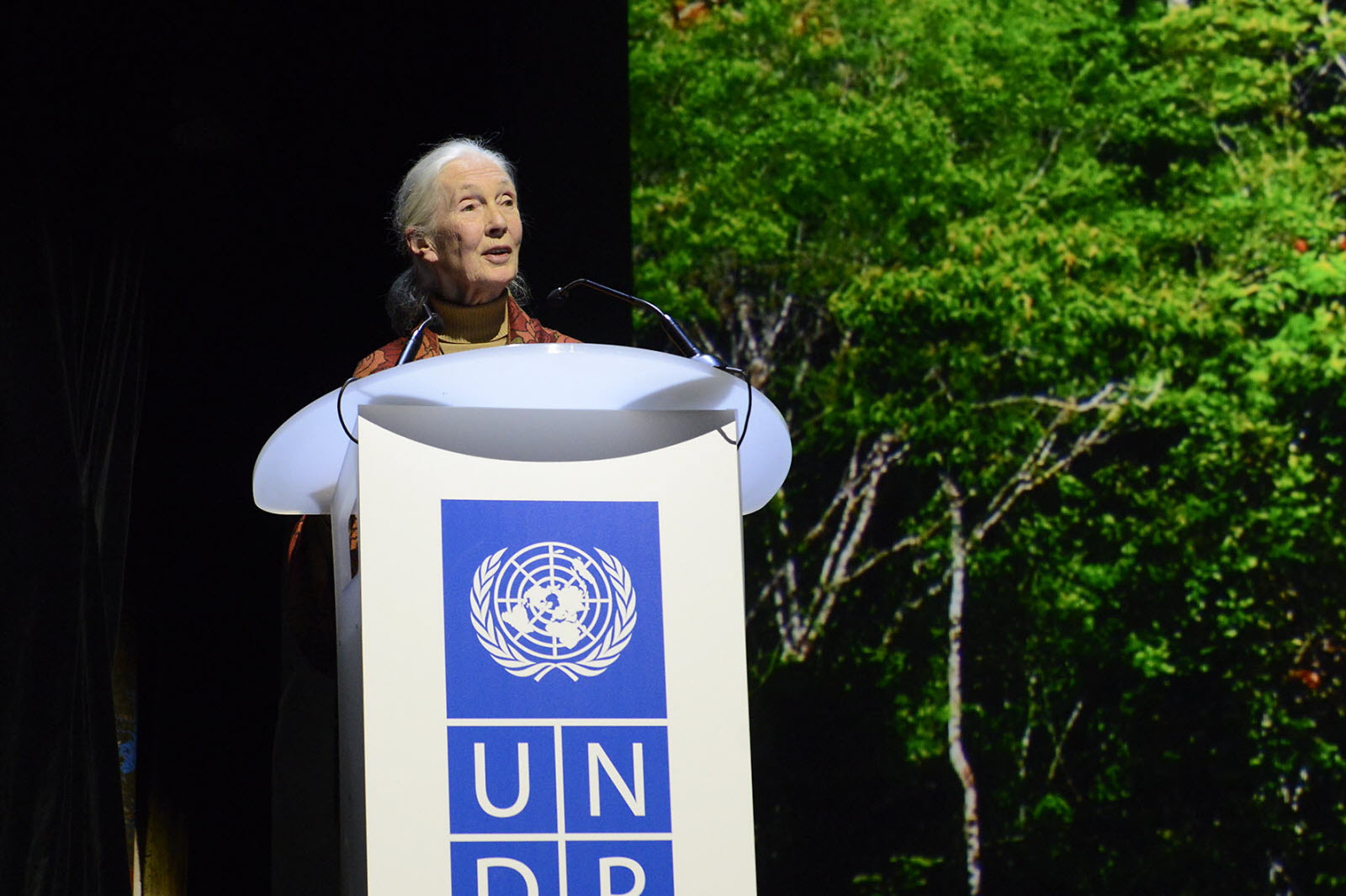 Jane Goodall, pionnière de l’éthologie, est décédée à l’âge de 91 ans