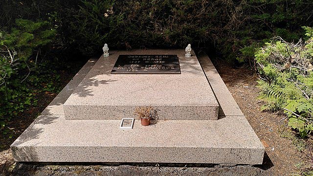 Hergé : créateur de Tintin, pionnier de la bande dessinée, une vie ...