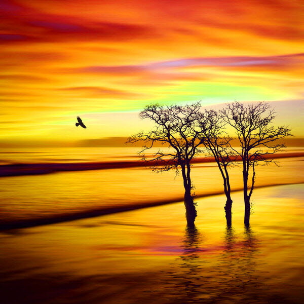 Un hommage pour Raphaël Bey de la part de sa sœur. A mon frère qui ...