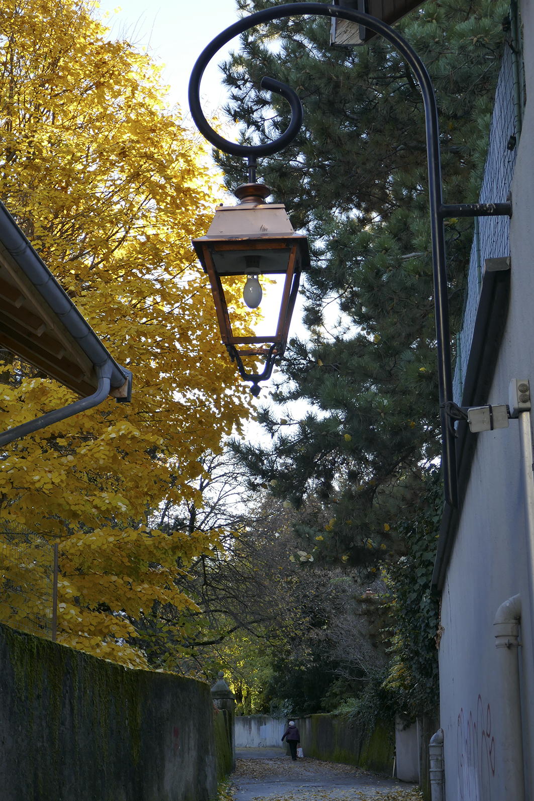 Avis de décès de Madame Denyse MICHAUD née ARCHER paru le 23/02/2024 ...