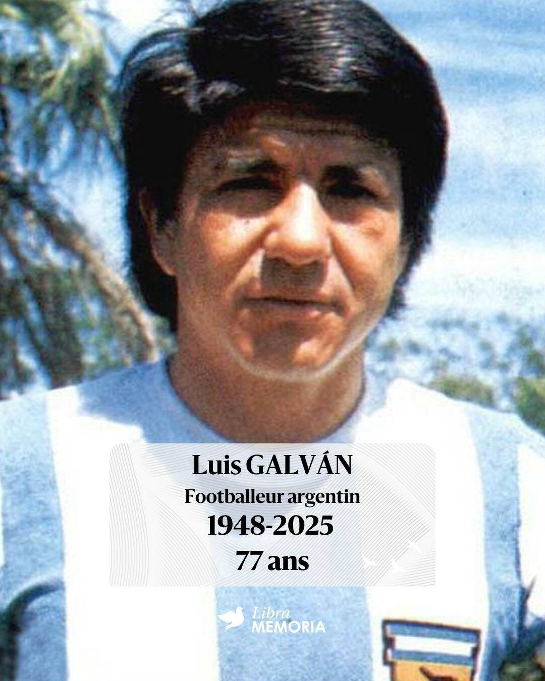 Ces personnalités nous ont quittés en mai 2025 : rendons-leur hommage